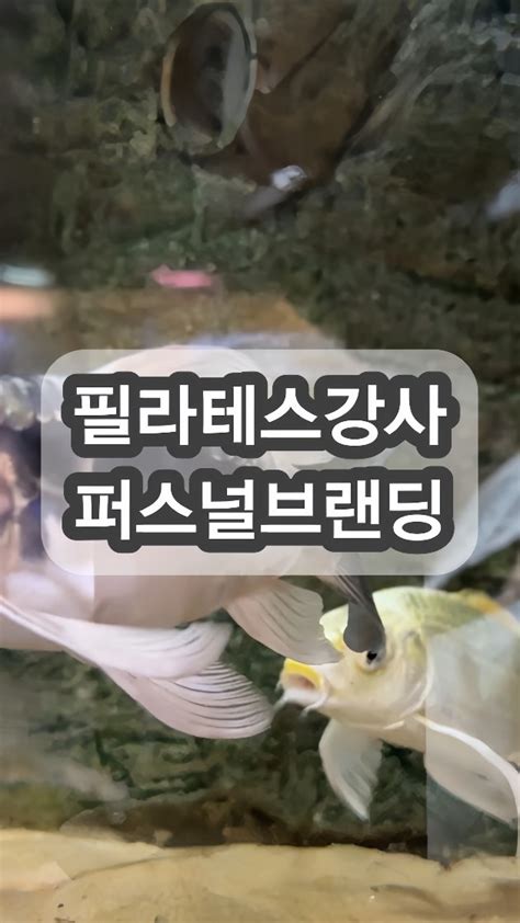 이윤희 유니크한연구소 자이로토닉 필라테스 이렇게 빨리 지나갈 줄이야 🕰️ 2월에 계획했던 일들이 많았었는데 시간이 또 순삭되었는거 있죠 😅 아직 정리되지 않은