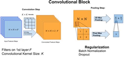 convolutional block with the convolutional and pooling steps followed