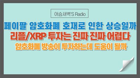 리플xrp 투자 상대적 박탈감의 연속 암호화폐 유튜브가 투자에 독이 되는 여러 이유들 Youtube