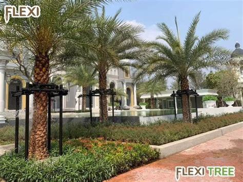 Fts Model Flexi Tree