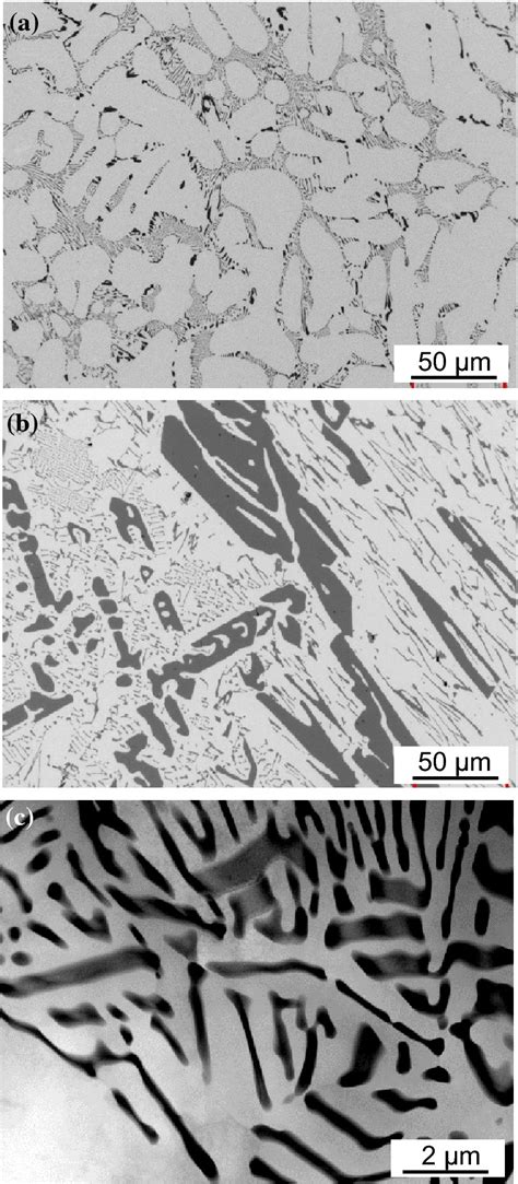 Microstructure Of Al Ce Binary Alloys A 5 Wt Ce Hypoeutectic With Download Scientific Diagram