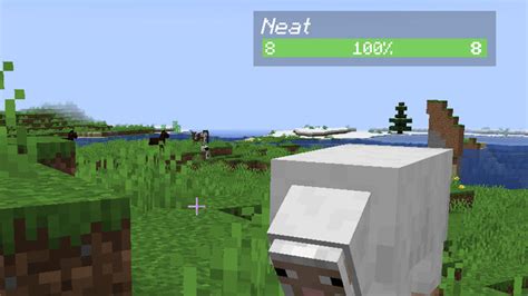 Neat [1 19 4] [1 18 2] [1 16 5] [1 12 2] моды на майнкрафт