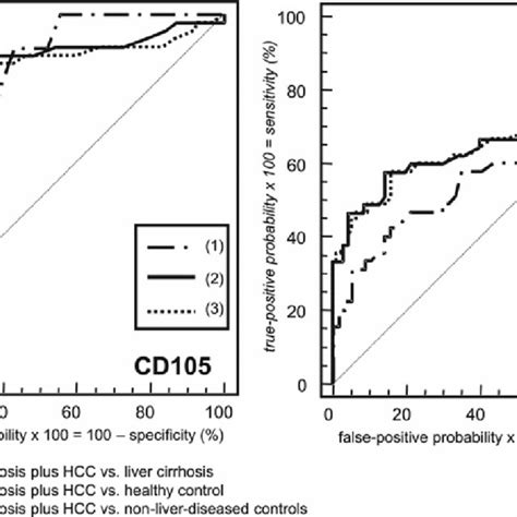 Structure Of The Pgl3 Basiccaga 12 Mlp Luc Vector Promega A Structure Of The Pgl3 Basiccaga 12 Mlp Luc Vector Promega A