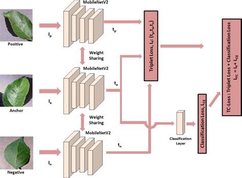 Schematic Diagram Of Proposed Tc Loss Download Scientific Diagram