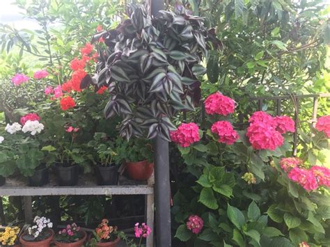 Здравствуйте дорогие туристы Мы находимся рядом от Российской границы посёлок Цандрипш Если