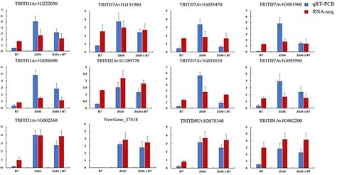 Rt Qpcr Validation Of Degs Identified By Rna Seq The Blue And Red Download Scientific Diagram