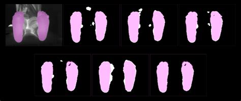 Illustrative Example Showing The Final Prediction For The Segnet Download Scientific Diagram