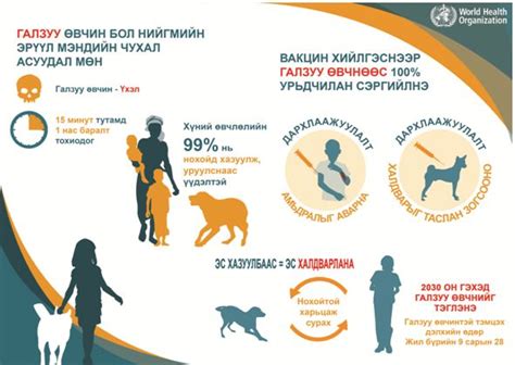 Галзуу өвчний эрсдэлд өртсөн 48 тохиолдол бүртгэгджээ