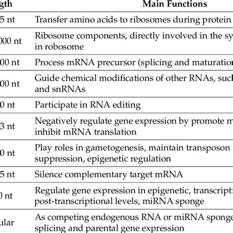The Classification And Function Of Non Coding Rnas Download Table