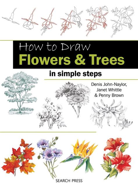 How To Draw Flowers Trees In Simple Steps NHBS Academic