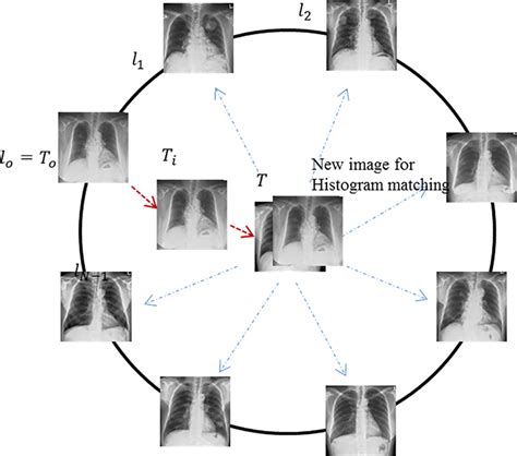 Illustration Of The Histogram Matching Process In Our Datasets