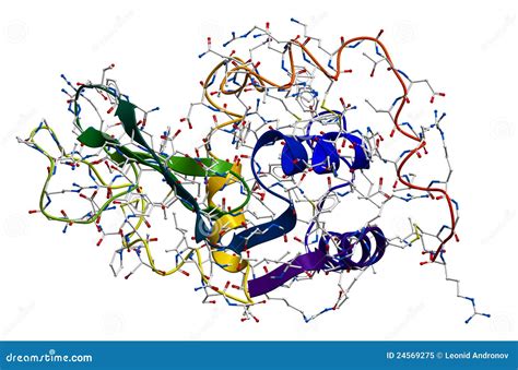 Lysozyme Det Naturliga Antibacterial Enzymet Stock Illustrationer