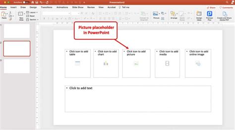 What Is A Placeholder In Powerpoint Our Guide