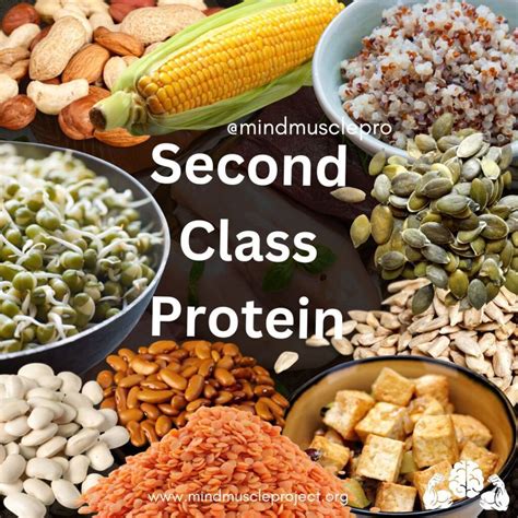 Second Class Proteins Mind Muscle Project