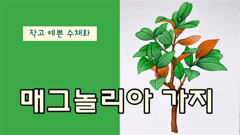 작고 예쁜 수채화 29 나뭇가지그리기 매그놀리아가지 Youtube