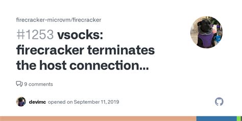 Vsocks Firecracker Terminates The Host Connection Before Starting The Init Process · Issue
