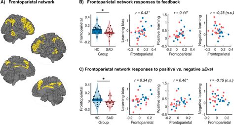 Activation Of The Frontoparietal Network To Feedback And Feedback Download Scientific Diagram
