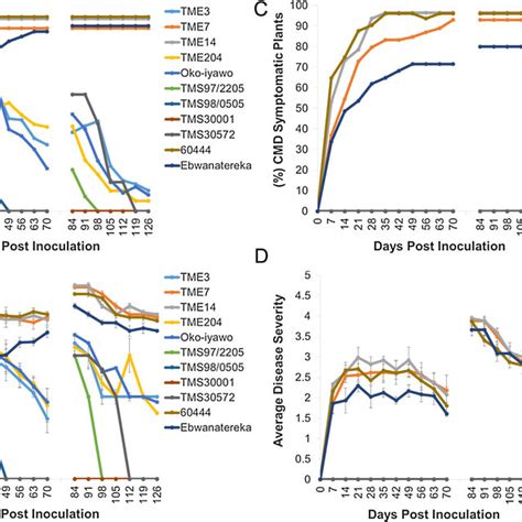 Response Of Cassava Genotypes To Infection With ACMV CM And EACMV KE Download Scientific