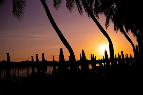 Premium Photo Coconut Palm Trees Against Colorful Sunset Bang Saen