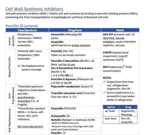 Antibiotics Cheat Sheet Etsy