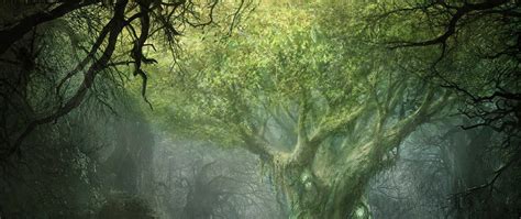 Extraindo O Xpath De Um Elemento No Navegador Dev Community