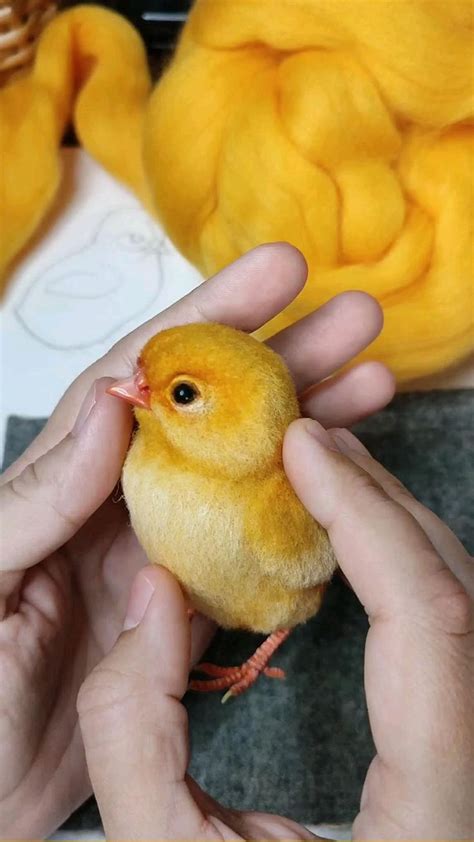 цыпленок из шерсти Искусство создания изделий из войлока Поделки из войлока Валяние