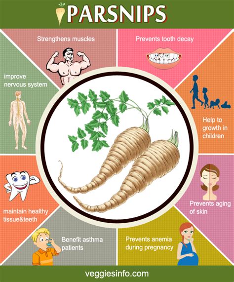 Parsnip Nutrition Summary And Health Properties Veggies Info