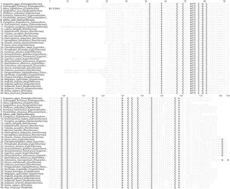 ClustalΩ Alignment Of 40 Species With Corresponding Coding Sequence For