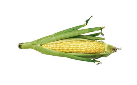 Page 3 Corn Png Pngs For Free Download