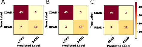 Figure 1 From An Autoencoder Based Deep Learning Approach For Classifying Colon And Rectum