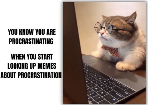 Procrastination Meme Check Out These 20 Hilarious Procrastination