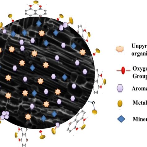 Examples Of Biochar Produced From Different Substances 7 Download