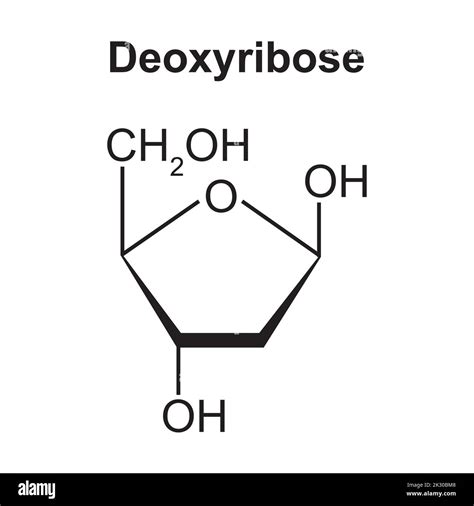 Ribose Molecule Vs Deoxyribose Deoxyribose Chemical Structure