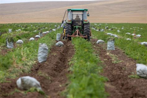 Монгол Улсын Ерөнхийлөгч Дархан Уул аймагт ажиллалаа Монгол Улсын Ерөнхийлөгчийн Тамгын Газар