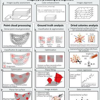 Schematic Diagram Summarizing The Workflow Including Data Collection Download Scientific