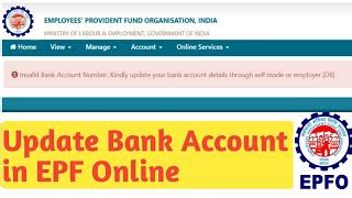 Pf Uan Password Forgot 2024 Epf Kyc Update Online 2024 How To Add