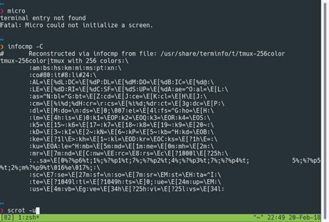 Infocmp Detection Fails On Tmux 256color · Issue 1047 · Zyedidiamicro · Github