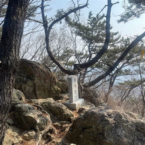 650칼로리 타파가능한 부산 해운대 장산 등산코스 왕복3시간주차안내 정불리의하루