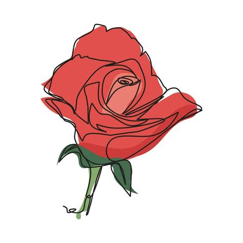 Vector Red Rose Drawing Of One Continuous Line Color Illustration Of Flowers In The Style Of