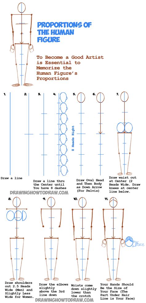 Drawing Human Proportions Tutorial At Judy Fred Blog
