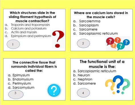 Muscles Muscles Muscles Task Cards Anatomy And Physiology Muscular
