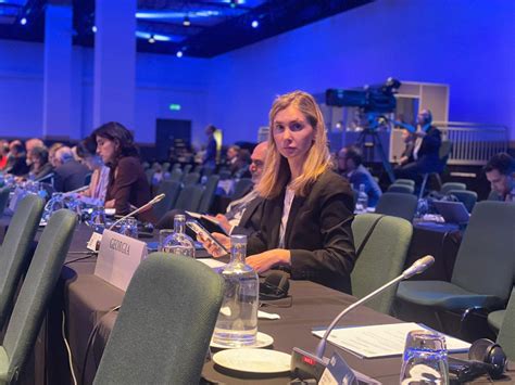 თინა ბოკუჩავა ირლანდიაში ეუთოს საპარლამენტო ასამბლეაზე იმყოფება