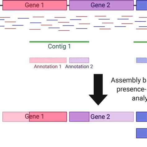 Genapi Workflow A Genapi Data Flow Including The Tools Cd Hit Est 16