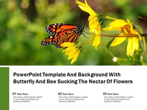 Powerpoint Template And Background With Butterfly And Bee Sucking The