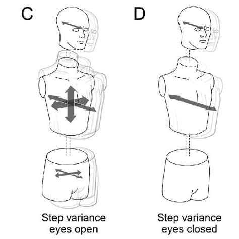 Specifications Of The Six Axis Motion Sensor Download Scientific Diagram