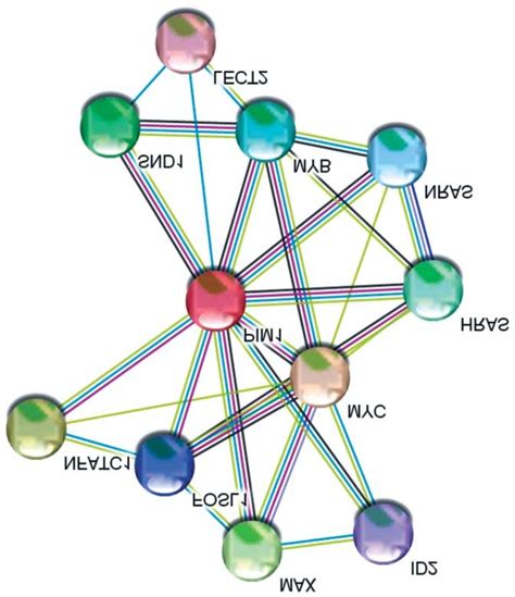 Pim1 Oncogene Proto Oncogene With Serine Threonine Kinase Activity Download Scientific Diagram