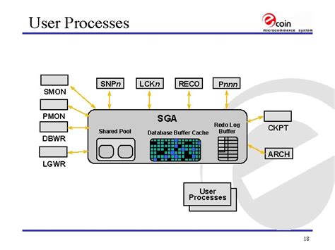 Overview Processes Memory Structures Files 9 Oracle Instance