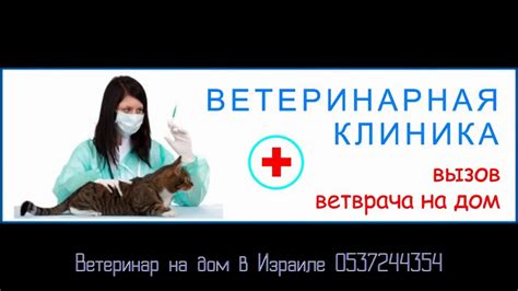 vimperor ru 4b0bcfe9 a94c 47ef 843c 45594db0308e - YouTube