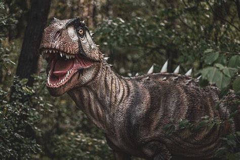 La Teoría De Lamarck Definición Y Ejemplos