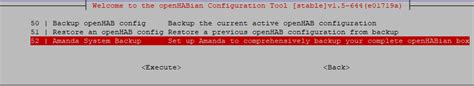 Configure Amanda Backup In Openhabian Config Error Installation